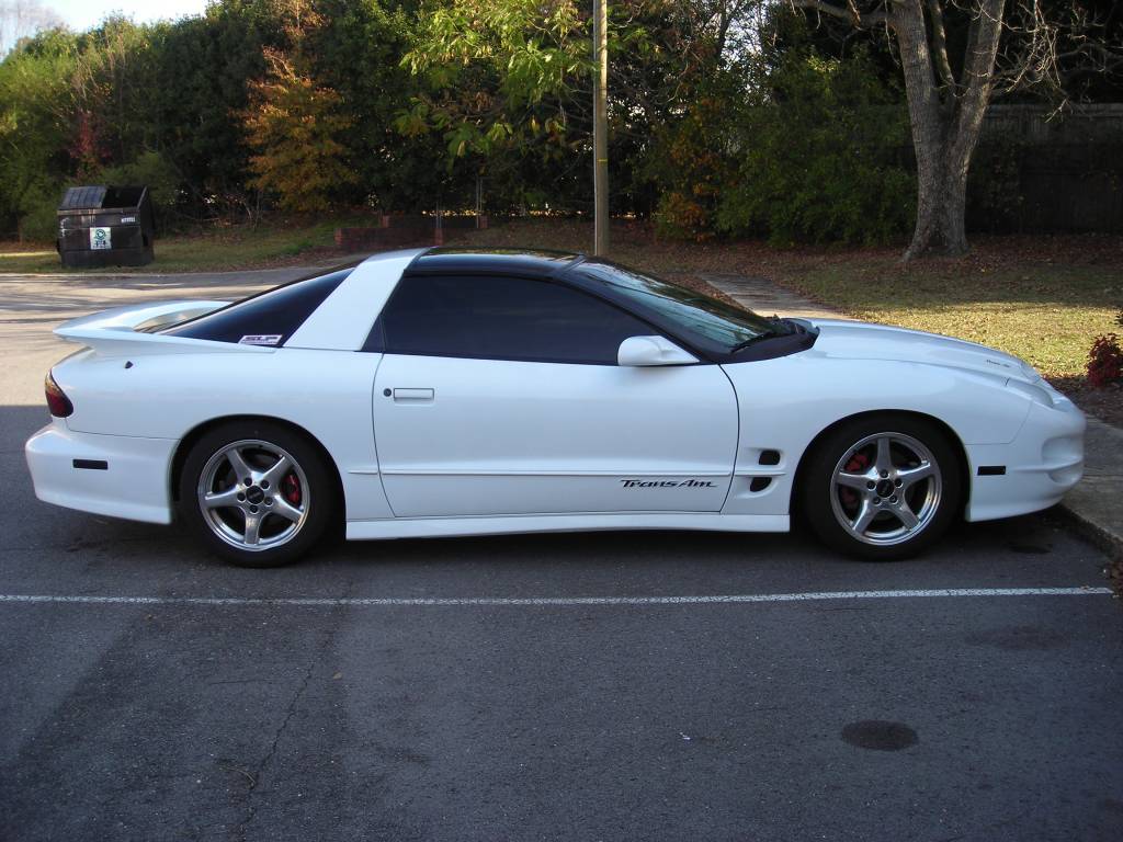 mark deady - WS6store.com